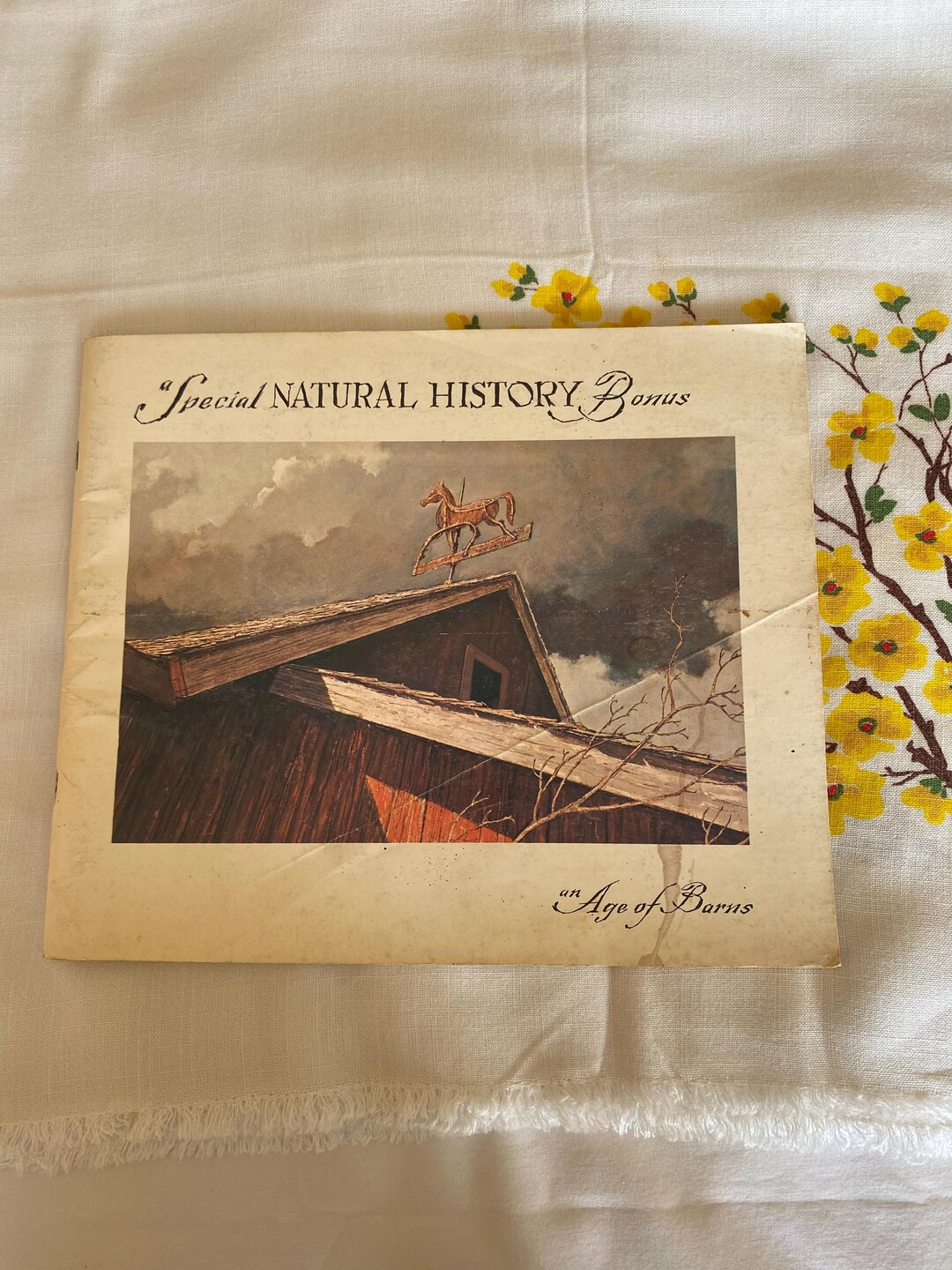 An Age of Barns, A Special Natural History Bonus Book, by Eric Sloane ...
