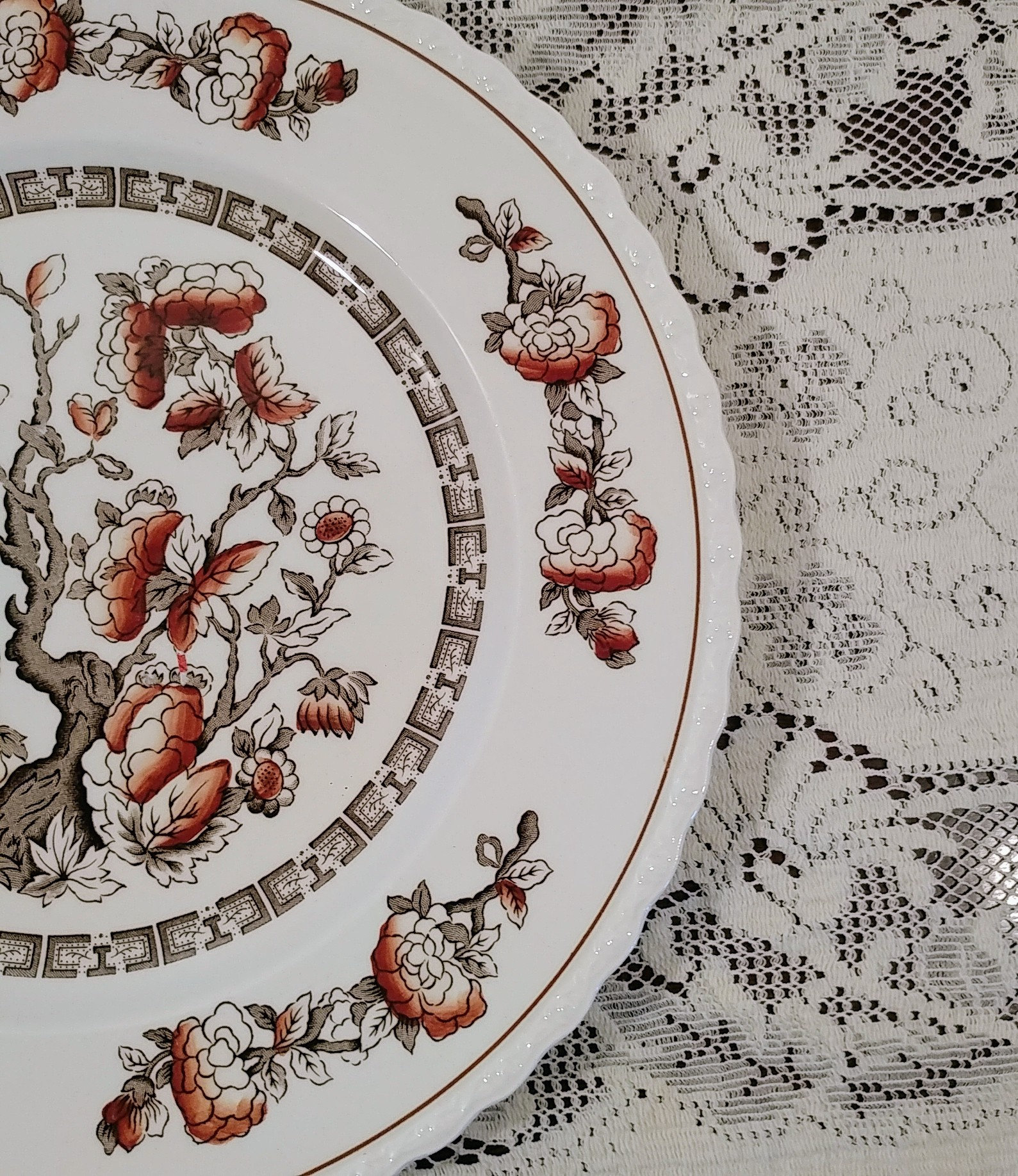 Myott Indian Tree Brown Pattern Dinner Plates Set of 2 | Etsy