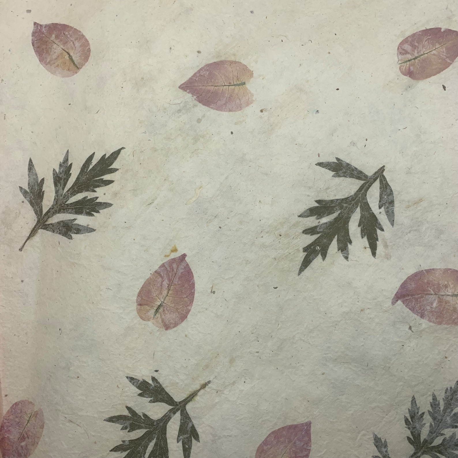 Handmade Pressed Flower Lokta Paper Sheets: Eco-friendly Gift Wrap ...