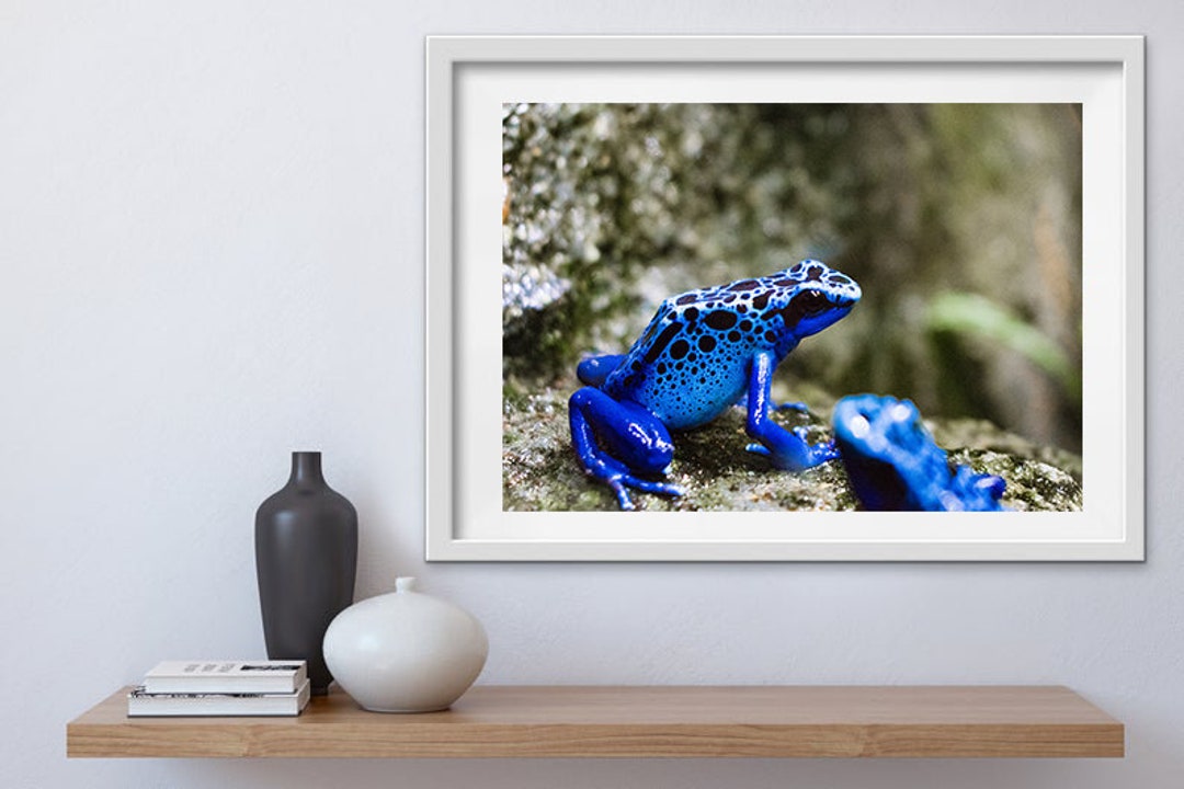 Electric Blue Frog Wall Art, Blue Poison Dart Frog Downloadable Prints ...