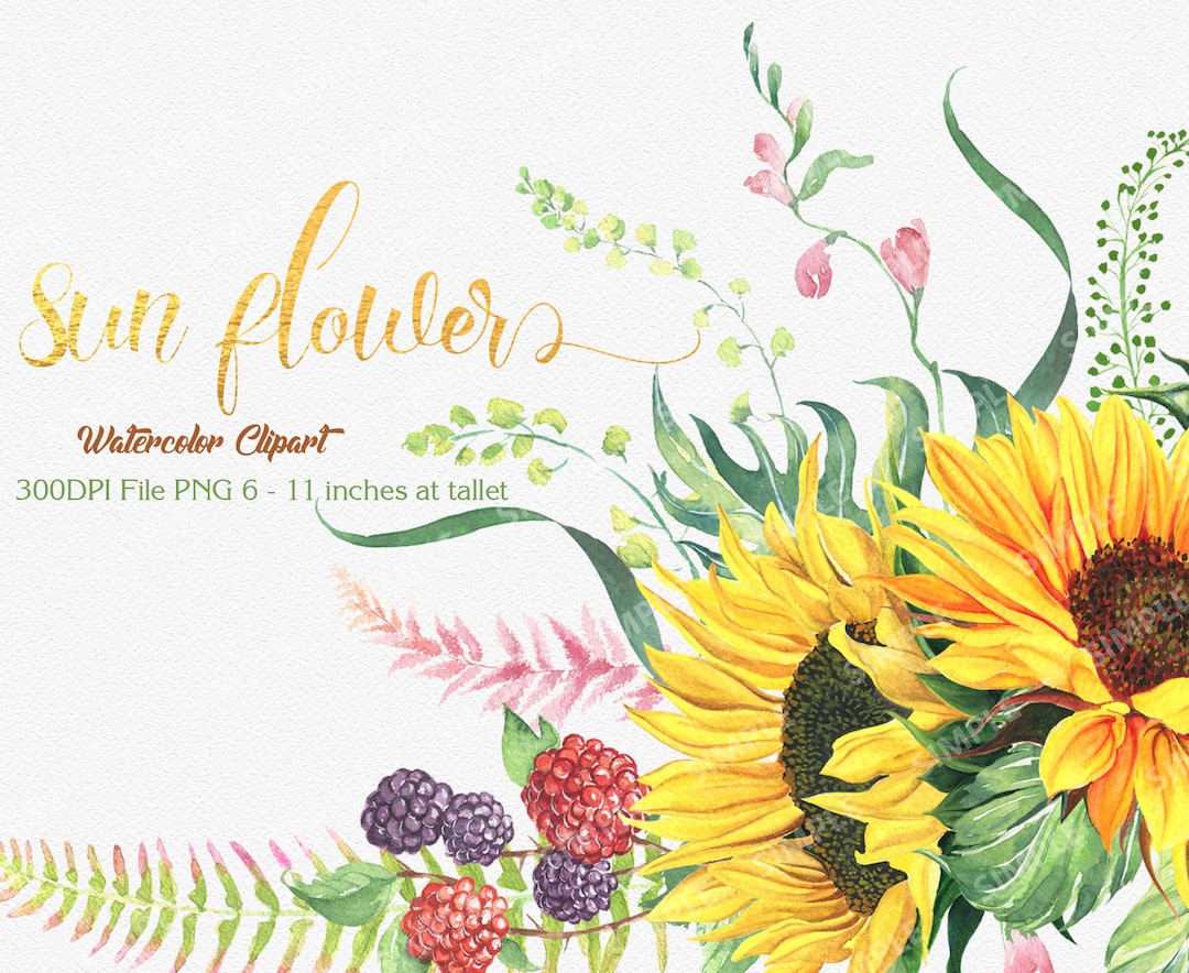 Sunflower Watercolor Flower Clipart,wreaths and Bouquets Invitation ...