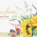 Sunflower Watercolor Flower Clipart,wreaths and Bouquets Invitation ...