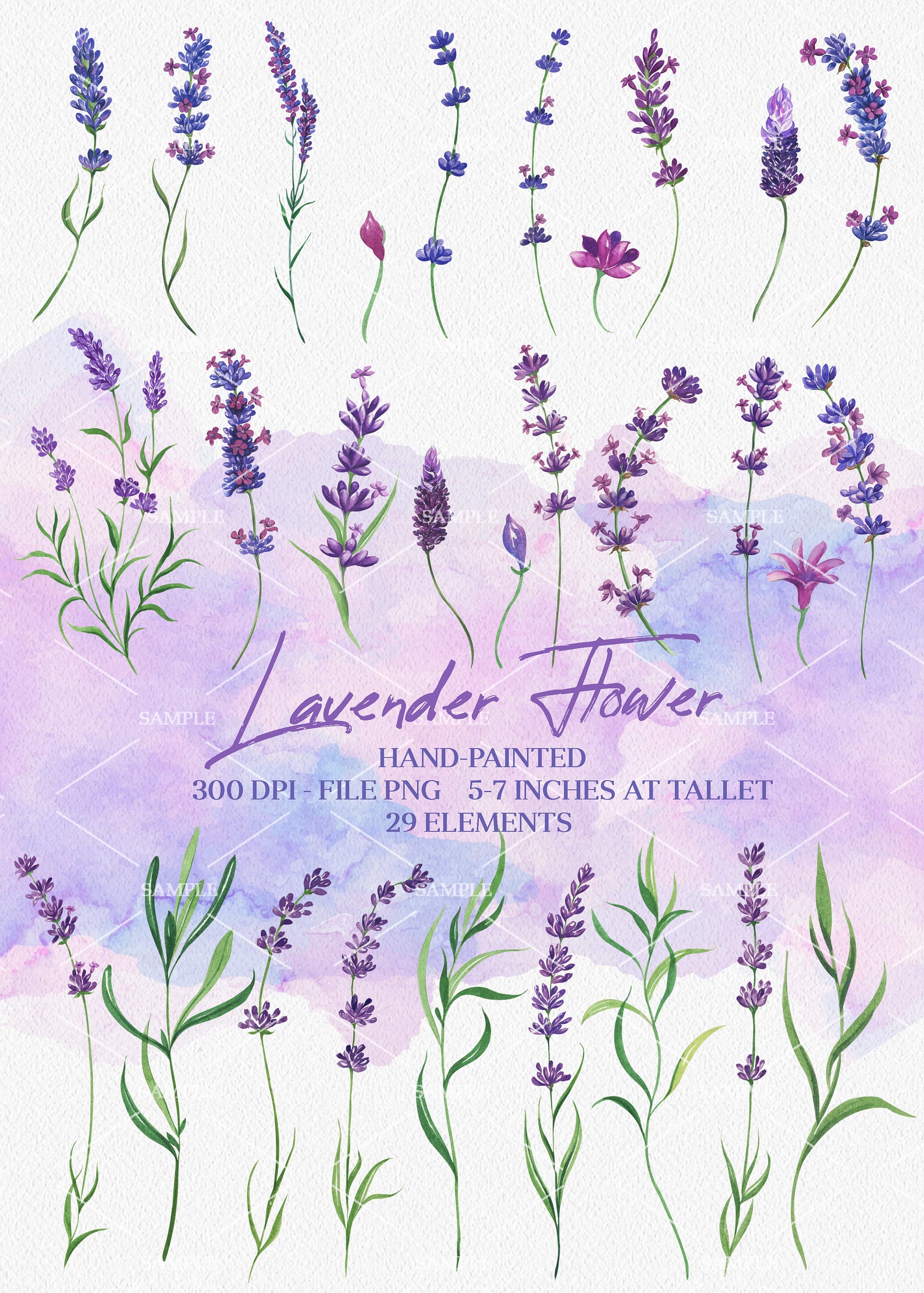 Watercolor Lavender Clipart,vintage Lavandula,lavender Wreaths ...