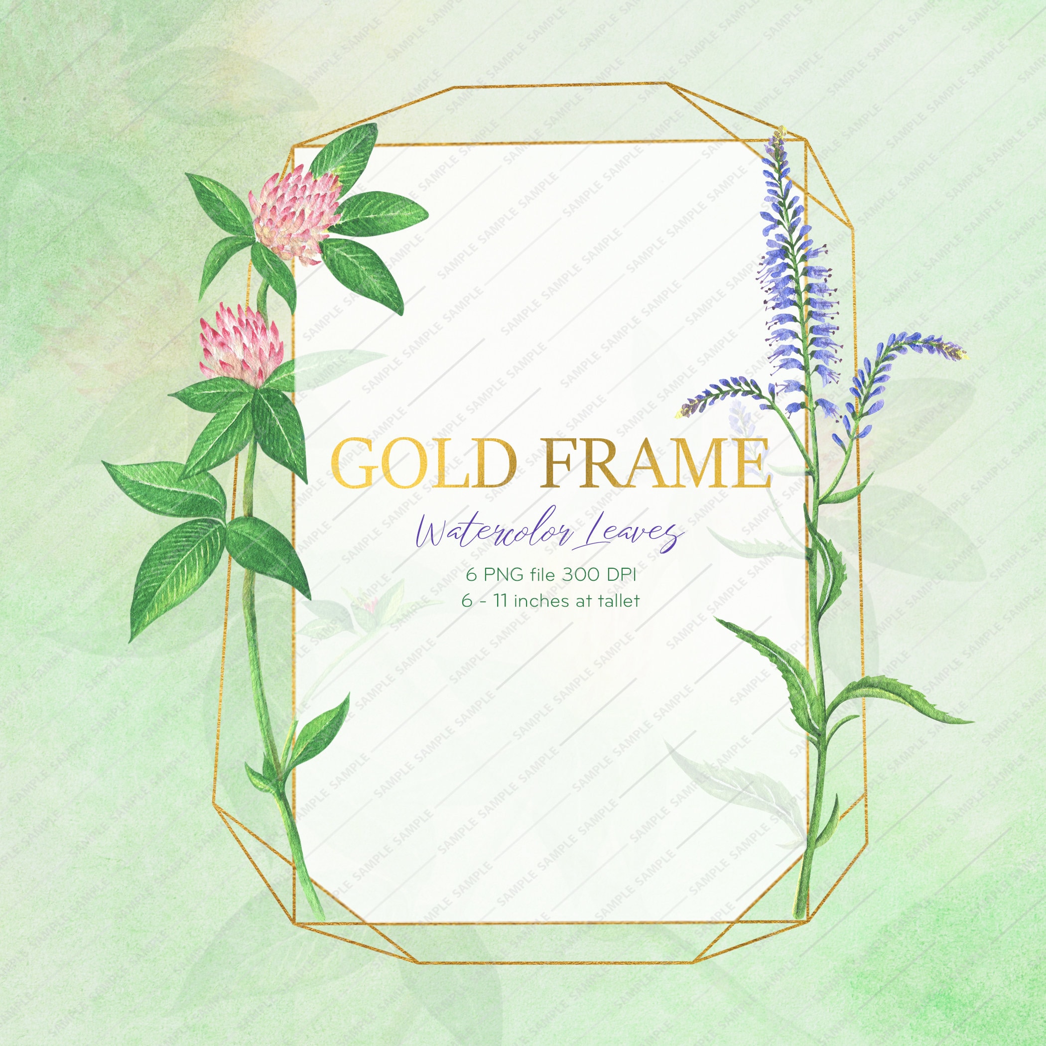 Frame Wild Flowers Clipart,watercolor Wild Flowers Geometric,frames ...