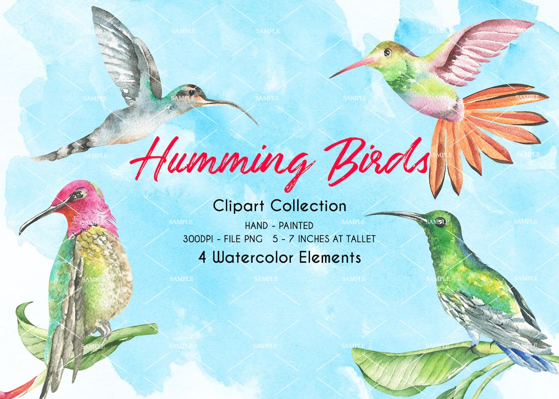 Hummingbird Clipart Watercolor Hummingbird - Etsy