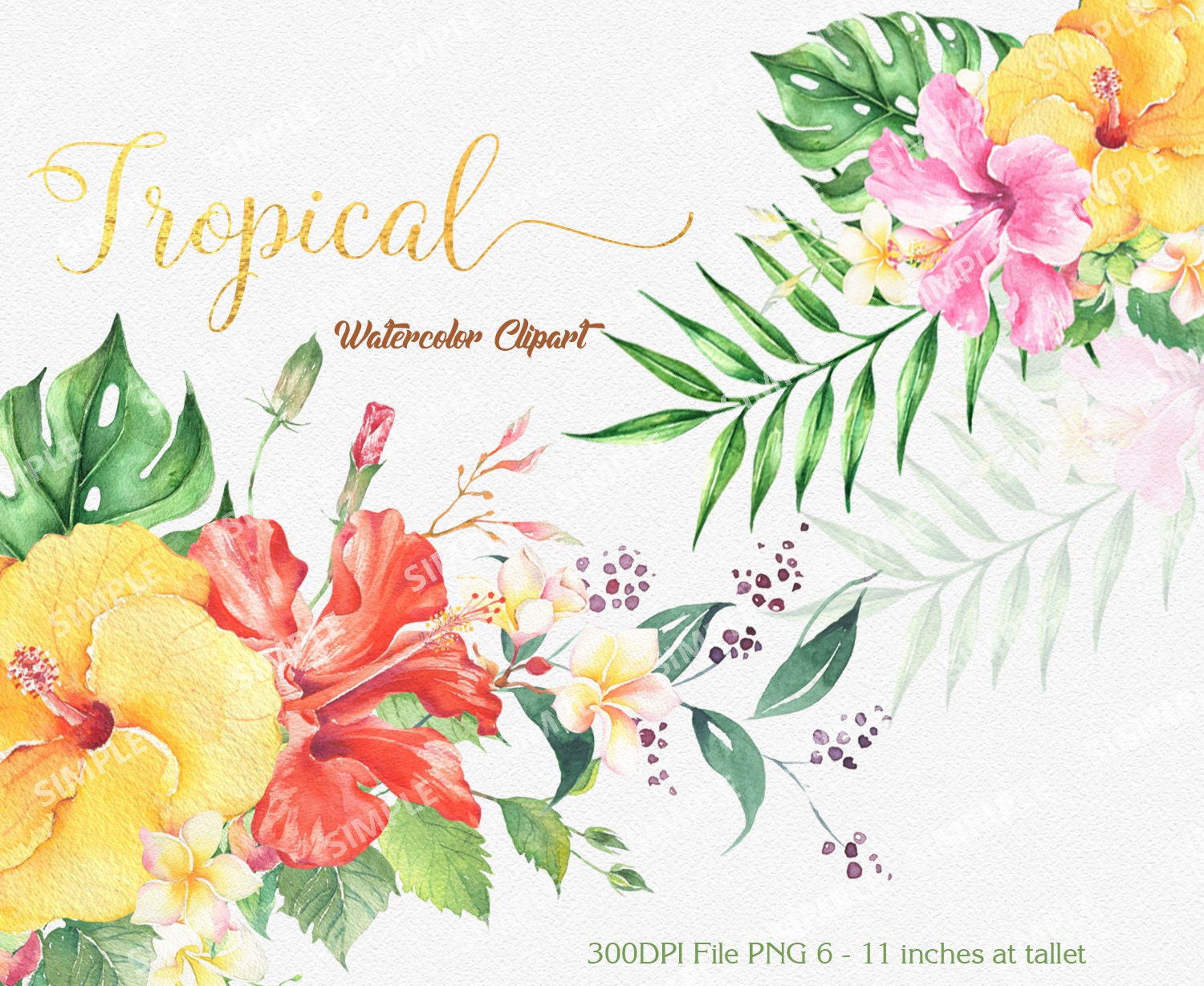 Hibiscus Clipart,tropical Clipart,tropical Watercolor Flowers & Leaves ...