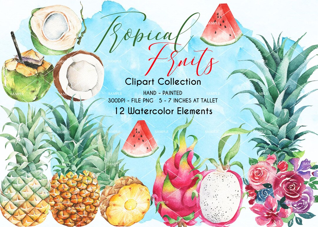 Tropical Fruit Clipart,tropical Hibiscus Watercolor Flowers & Leaves ...