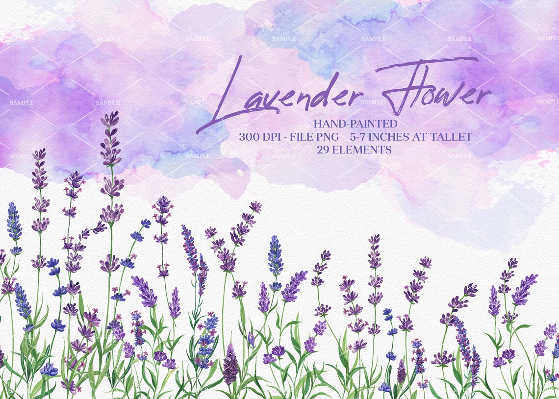 Watercolor Lavender Clipart,vintage Lavandula,lavender Wreaths ...