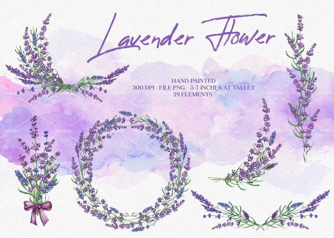 Watercolor Lavender Clipart,vintage Lavandula,lavender Wreaths ...
