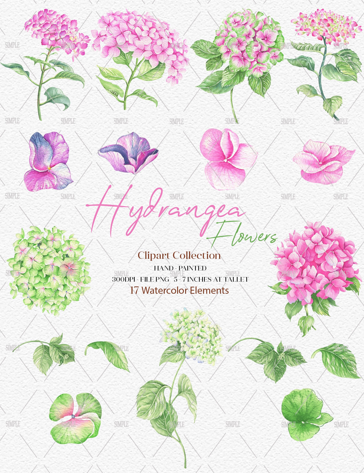 Watercolor Hydrangea Flower Clipart,hydrangea Flower Elements,hydrangea ...