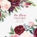 Marsala Flower Clipart,marsala Watercolor Flowers,boho Bordo Watercolor ...