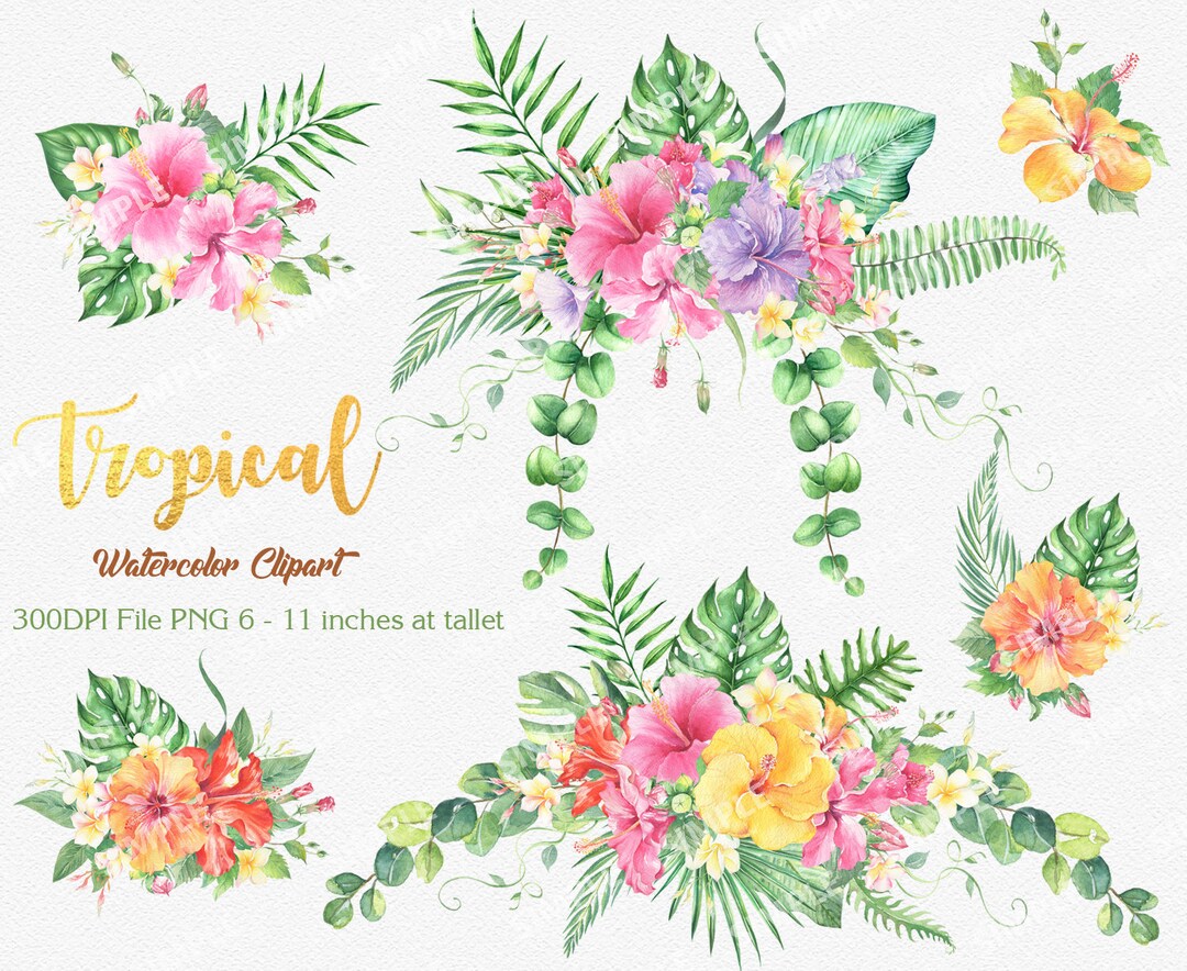 Hibiscus Clipart,tropical Clipart,tropical Watercolor Flowers & Leaves ...
