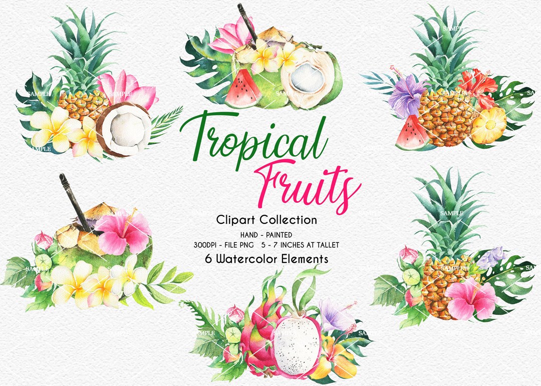 Tropical Fruit Clipart,tropical Hibiscus Watercolor Flowers & Leaves ...