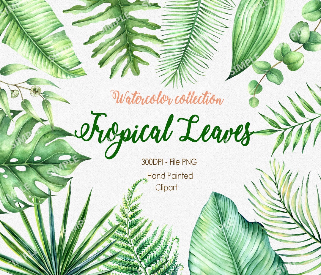 Tropical Leaf Clipart, Tropical Leaves Clipart, Monstera Palm Leaf ...