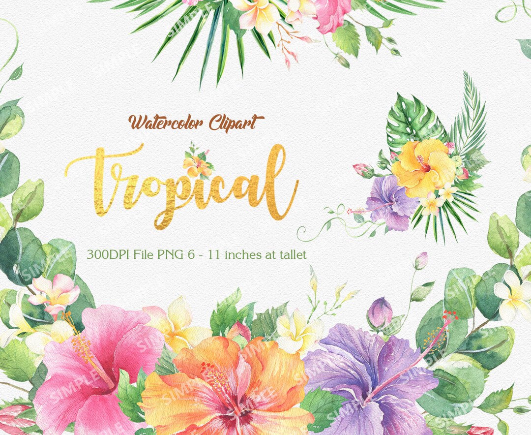 Hibiscus Clipart,tropical Clipart,tropical Watercolor Flowers & Leaves ...