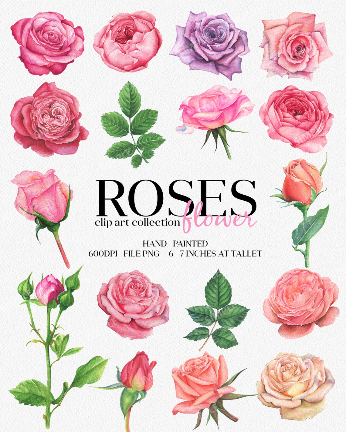 Roses Flower Clipartwatercolor Flower Clipart Burgundy and | Etsy