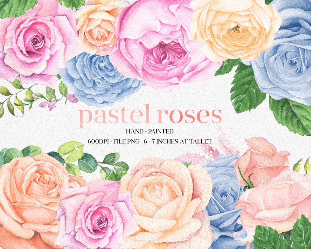 Roses Pastel Flower Clipart,watercolor Burgundy and Blush Clipart,boho ...