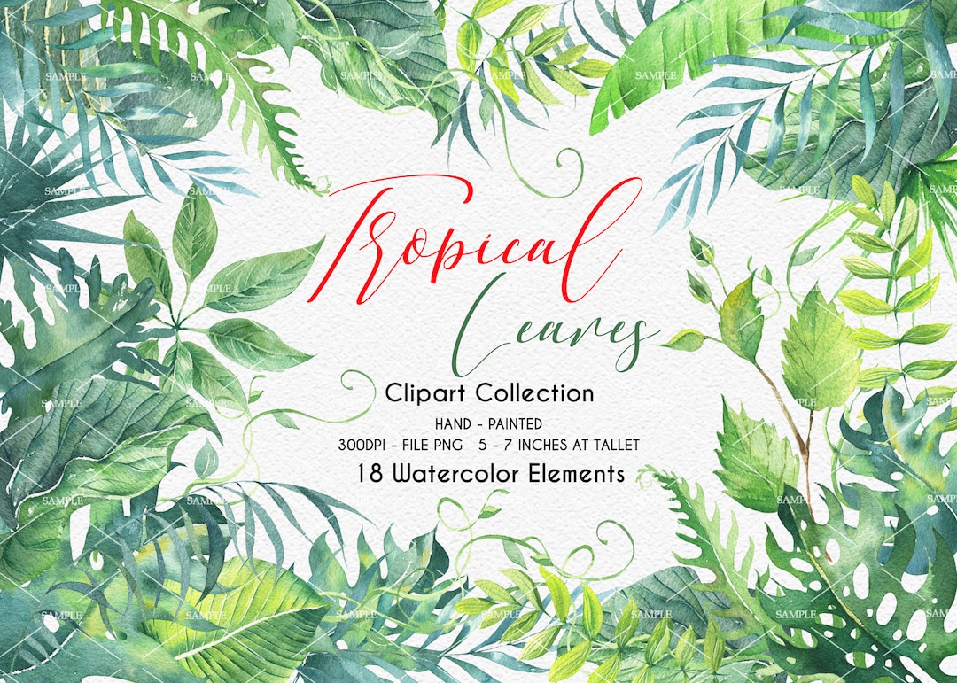Tropical Leaf Clipart, Tropical Leaves Clipart, Monstera Palm Leaf ...