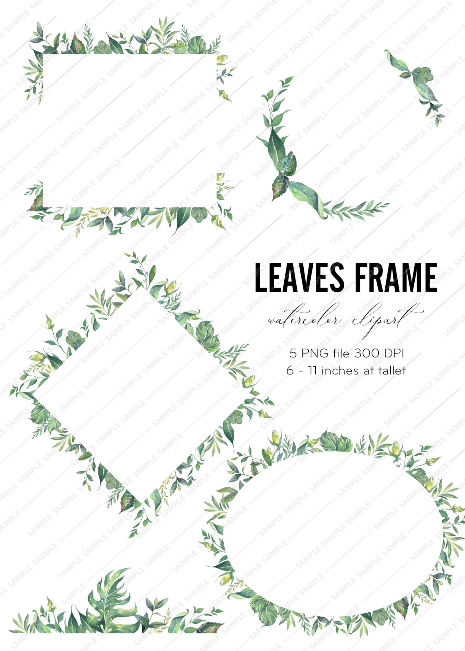 Clipart Frame Greenery,watercolor Greenery Geometric,frames Leaves Clip ...