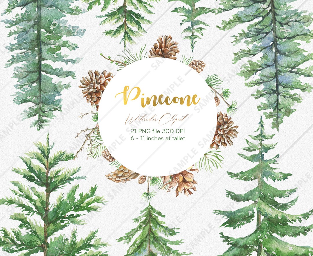 Christmas Clipart,watercolor Clipart Spruce, Pine,conifer Trees ...