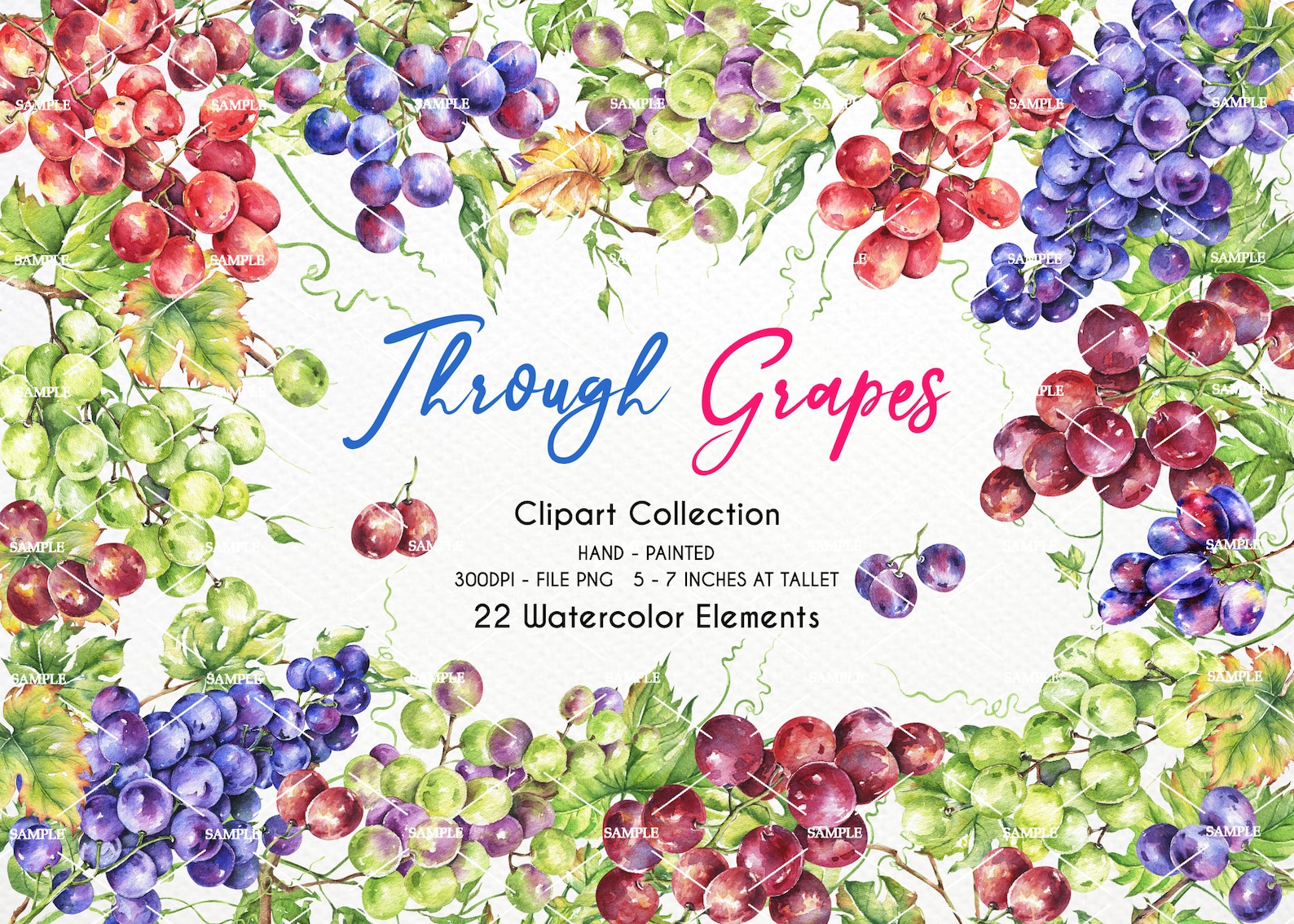 Grapes Watercolor Clipart, Watercolor Fruits Clipart,fruits Clip Art ...