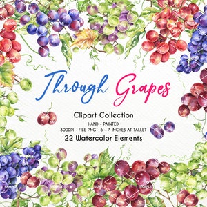 Grapes Watercolor Clipart, Watercolor Fruits Clipart,fruits Clip Art ...