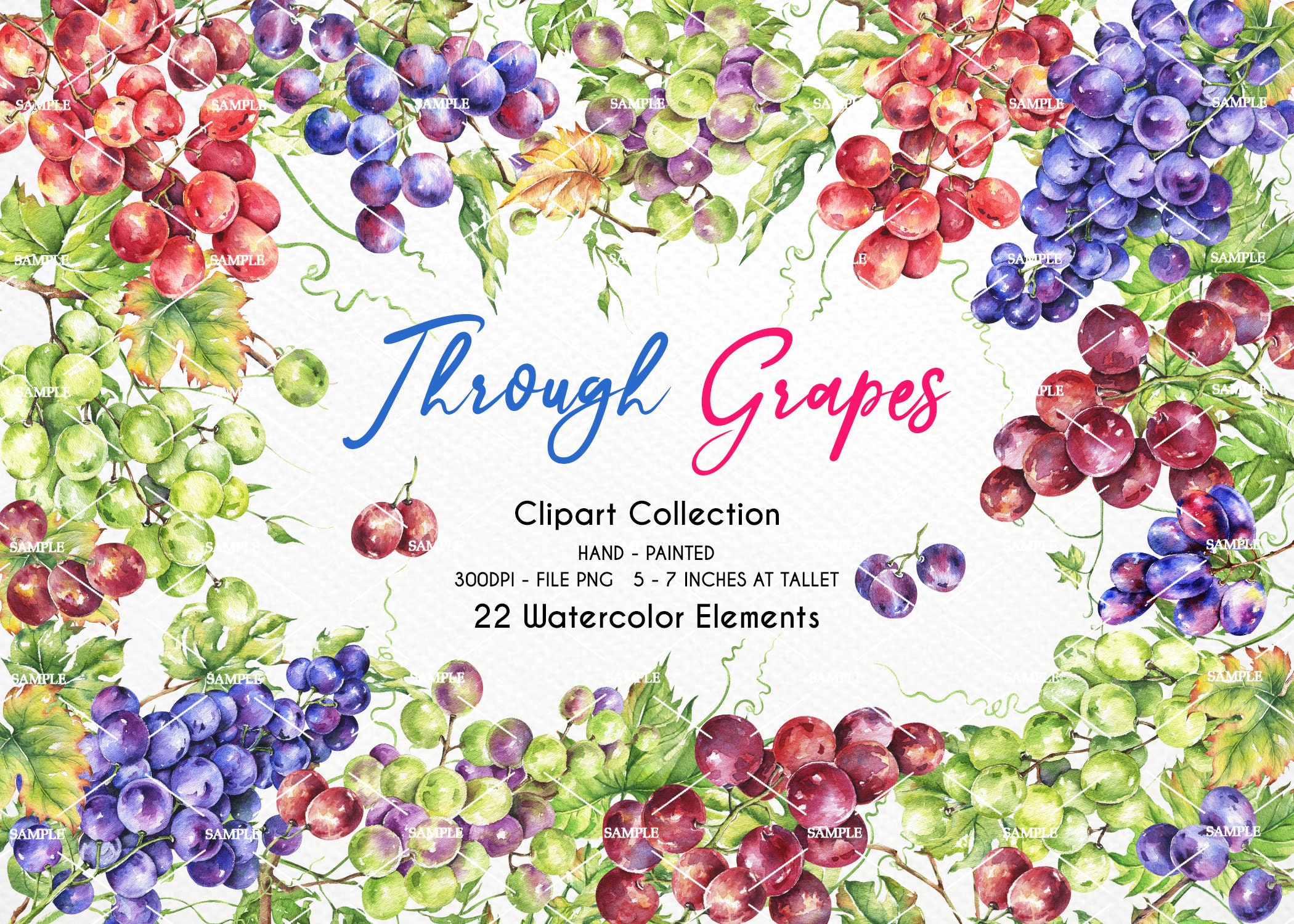 Grapes Watercolor Clipart, Watercolor Fruits Clipart,fruits Clip Art ...