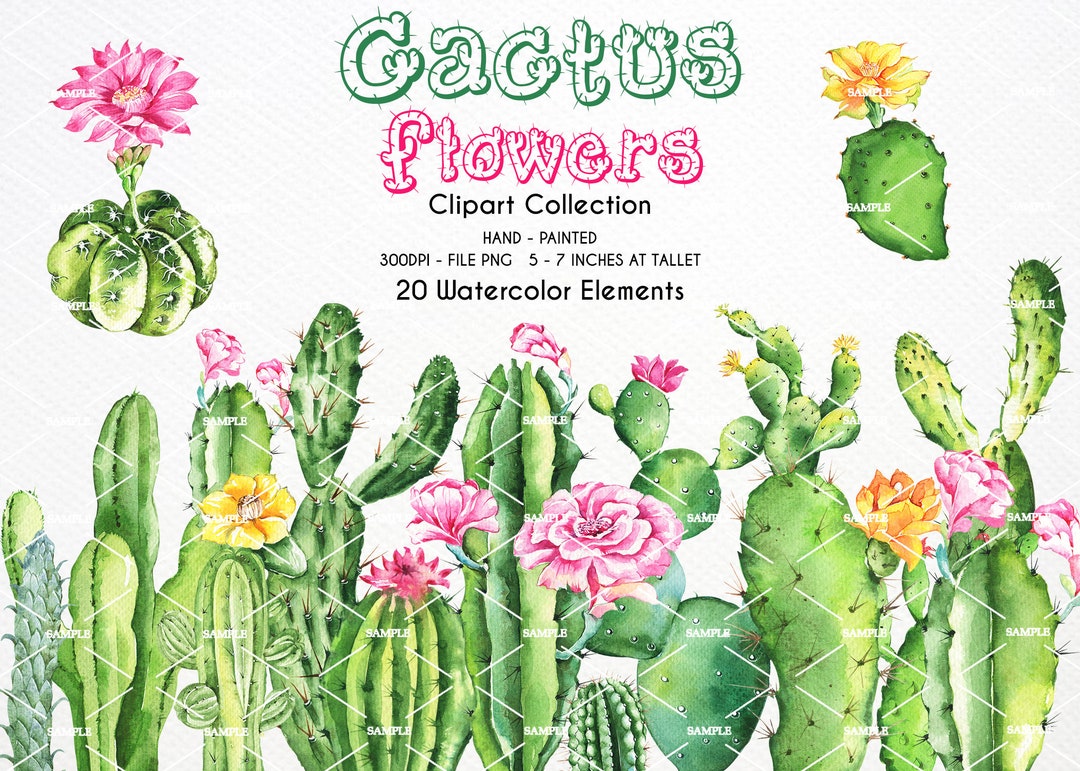 Watercolor Cactus Clipart,cactus Clipart,succulent Watercolor,cactus ...