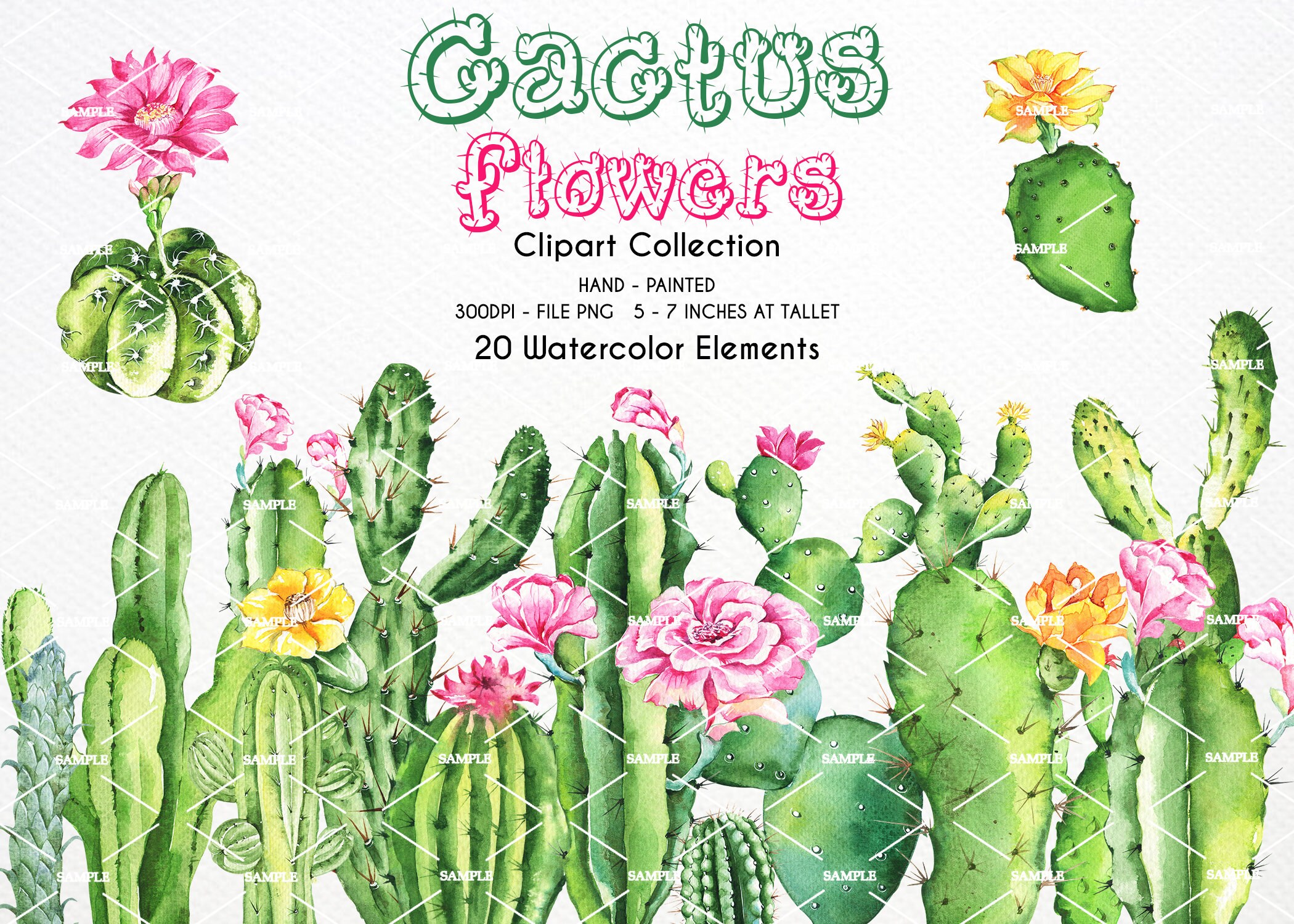 Watercolor Cactus Clipart,cactus Clipart,succulent Watercolor,cactus ...