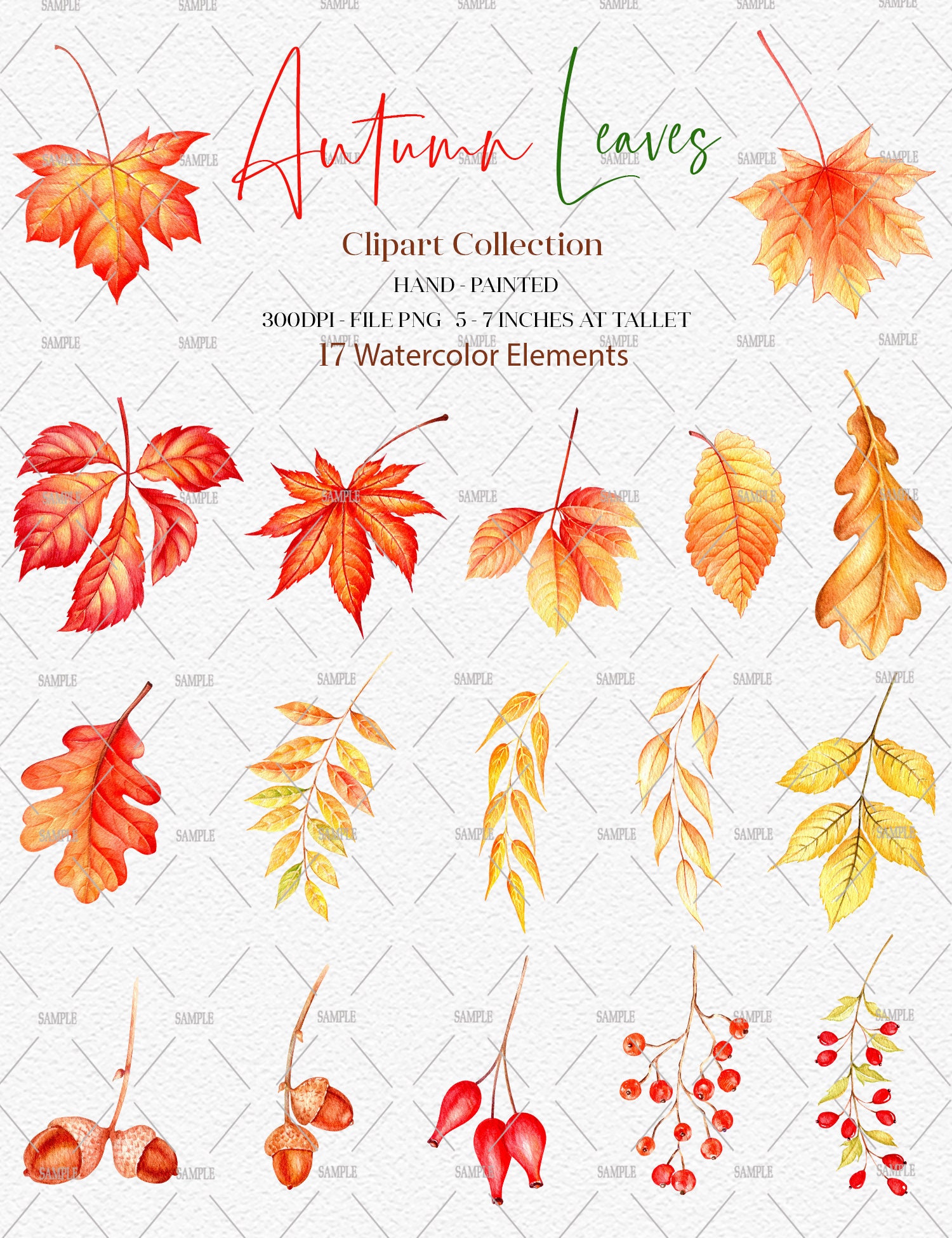 Watercolor Autumn Clipart, Watercolor Clipart, Fall Clipart, Autumn ...