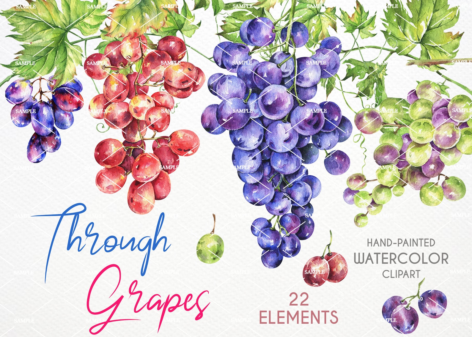 Grapes Watercolor Clipart, Watercolor Fruits Clipart,fruits Clip Art ...