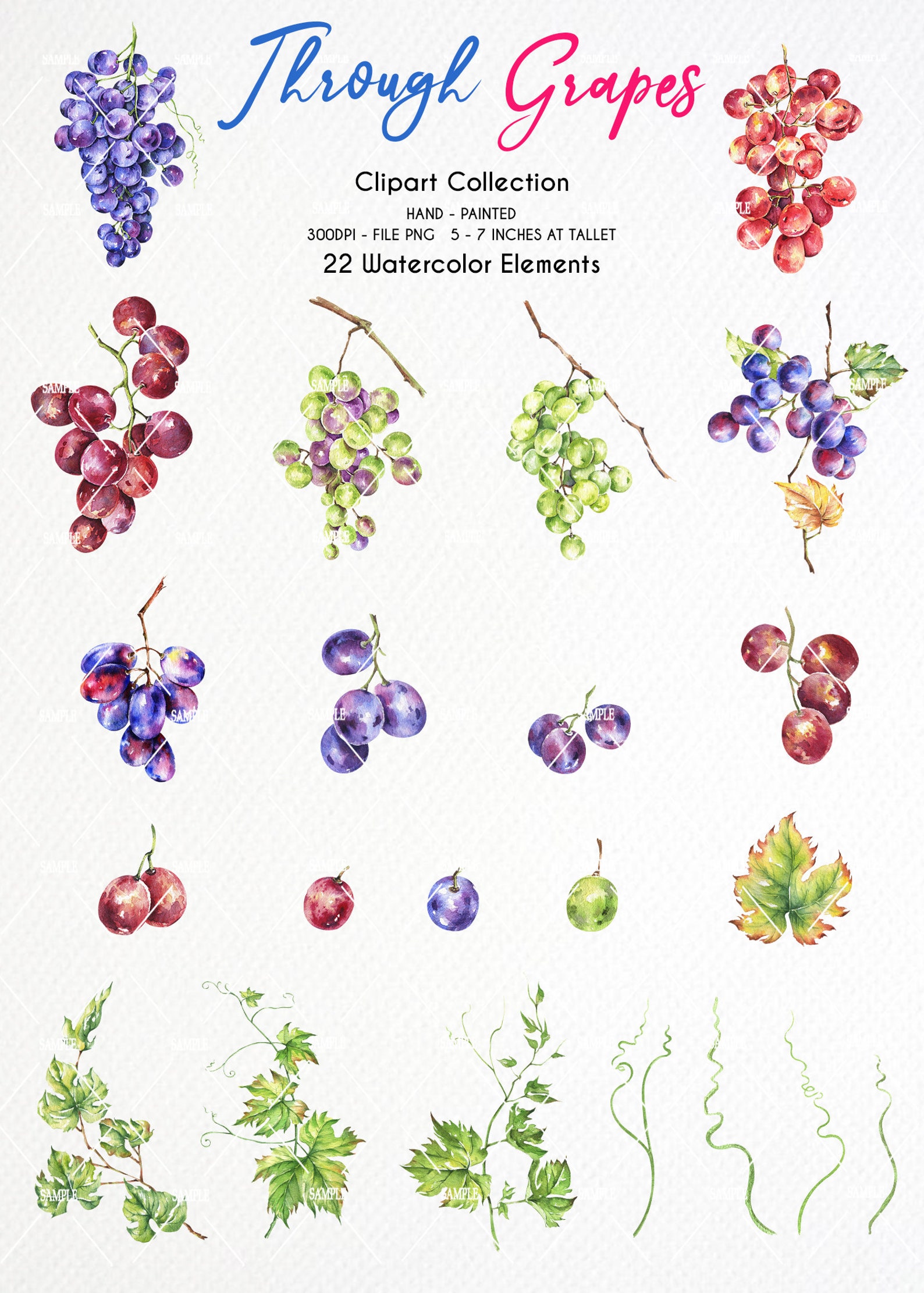 Grapes Watercolor Clipart, Watercolor Fruits Clipart,fruits Clip Art ...
