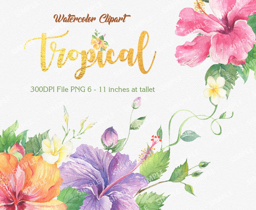 Hibiscus Clipart,tropical Clipart,tropical Watercolor Flowers & Leaves ...