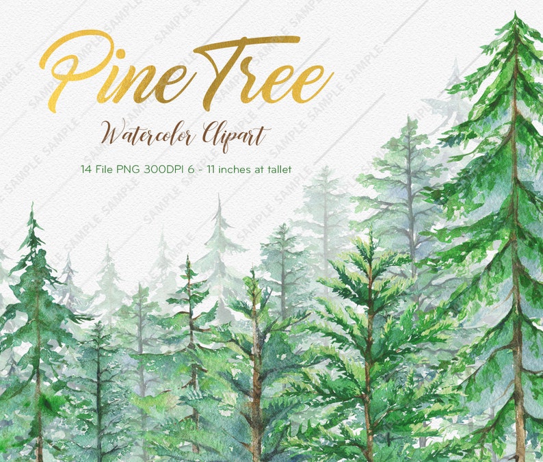 Christmas Clipart,watercolor Clipart Spruce, Pine,conifer Trees ...