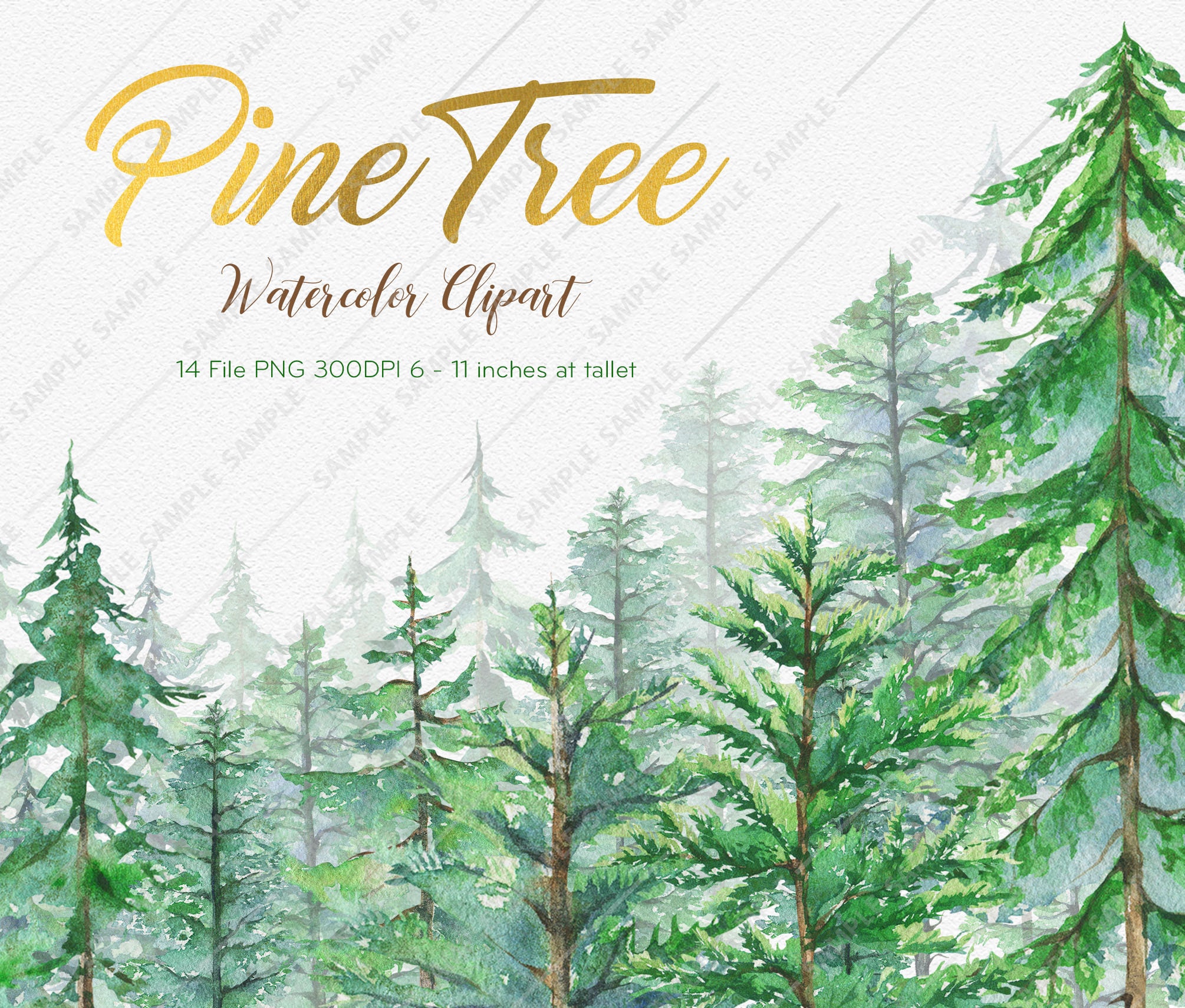 Christmas Clipart,watercolor Clipart Spruce, Pine,conifer Trees ...