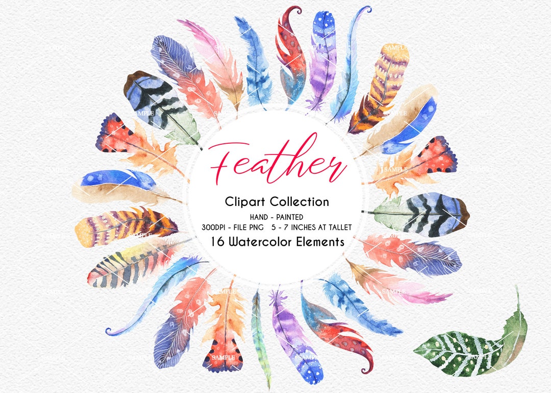 Feather Watercolor Clipart, Feather Set,feather Decor, Digital Feathes ...
