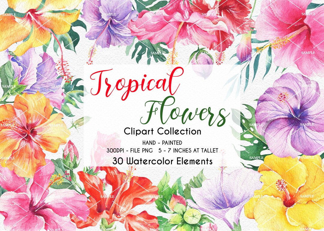 Hibiscus Clipart,tropical Clipart,tropical Watercolor Flowers & Leaves ...