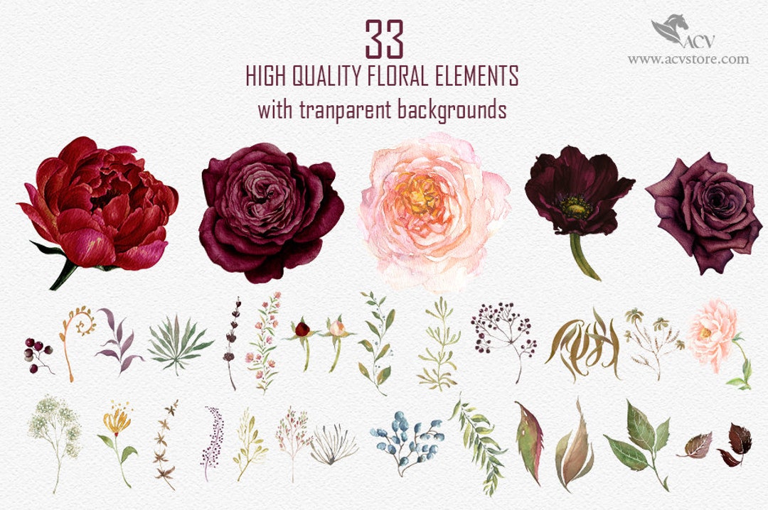 Element Marsala Flower Clipart,marsala Flowers,boho Bordo Watercolor ...