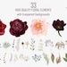 Element Marsala Flower Clipart,marsala Flowers,boho Bordo Watercolor ...