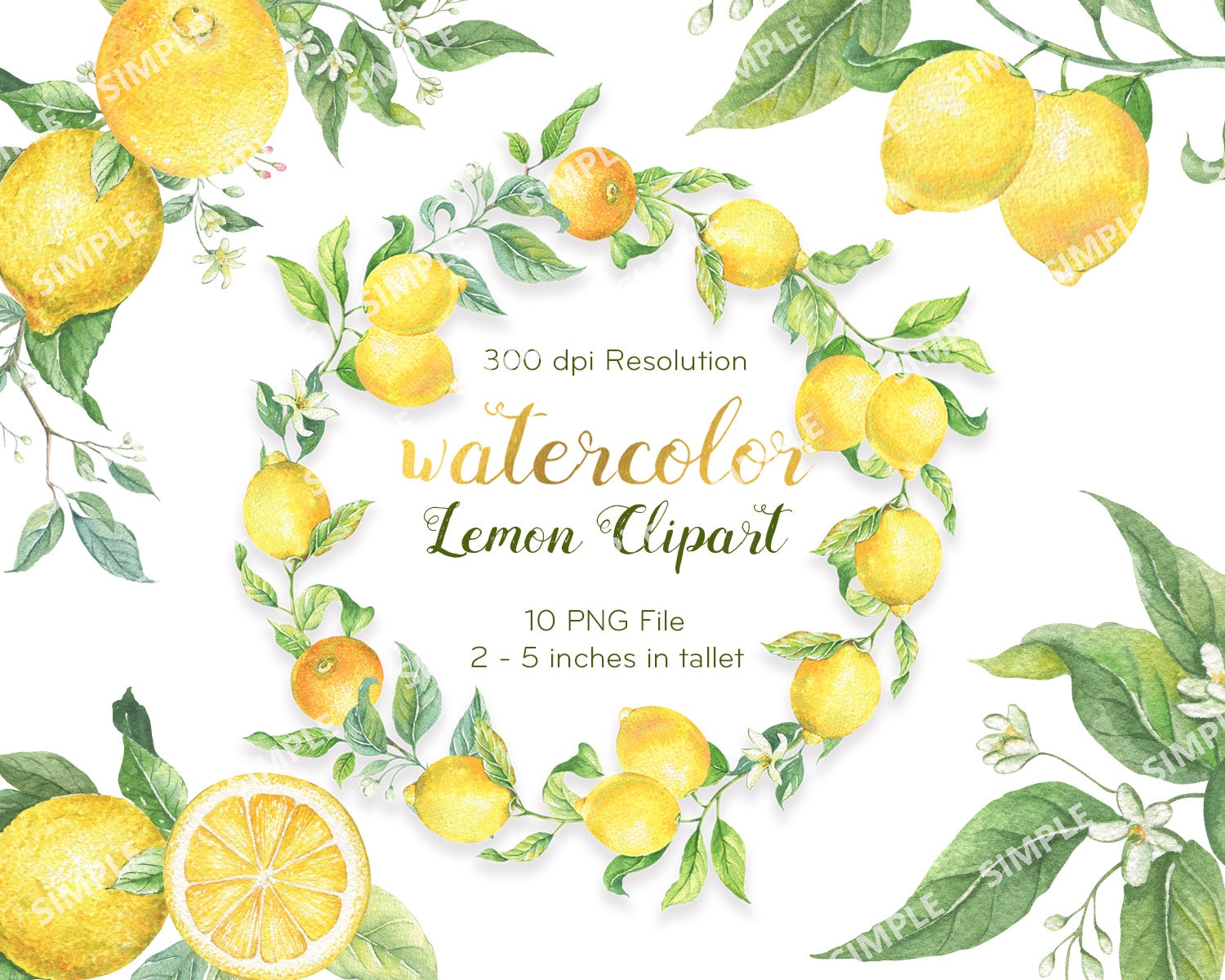 Lemon Watercolor,fruit Lemon Png,natural Clipart,yellow Lemon Clipart ...