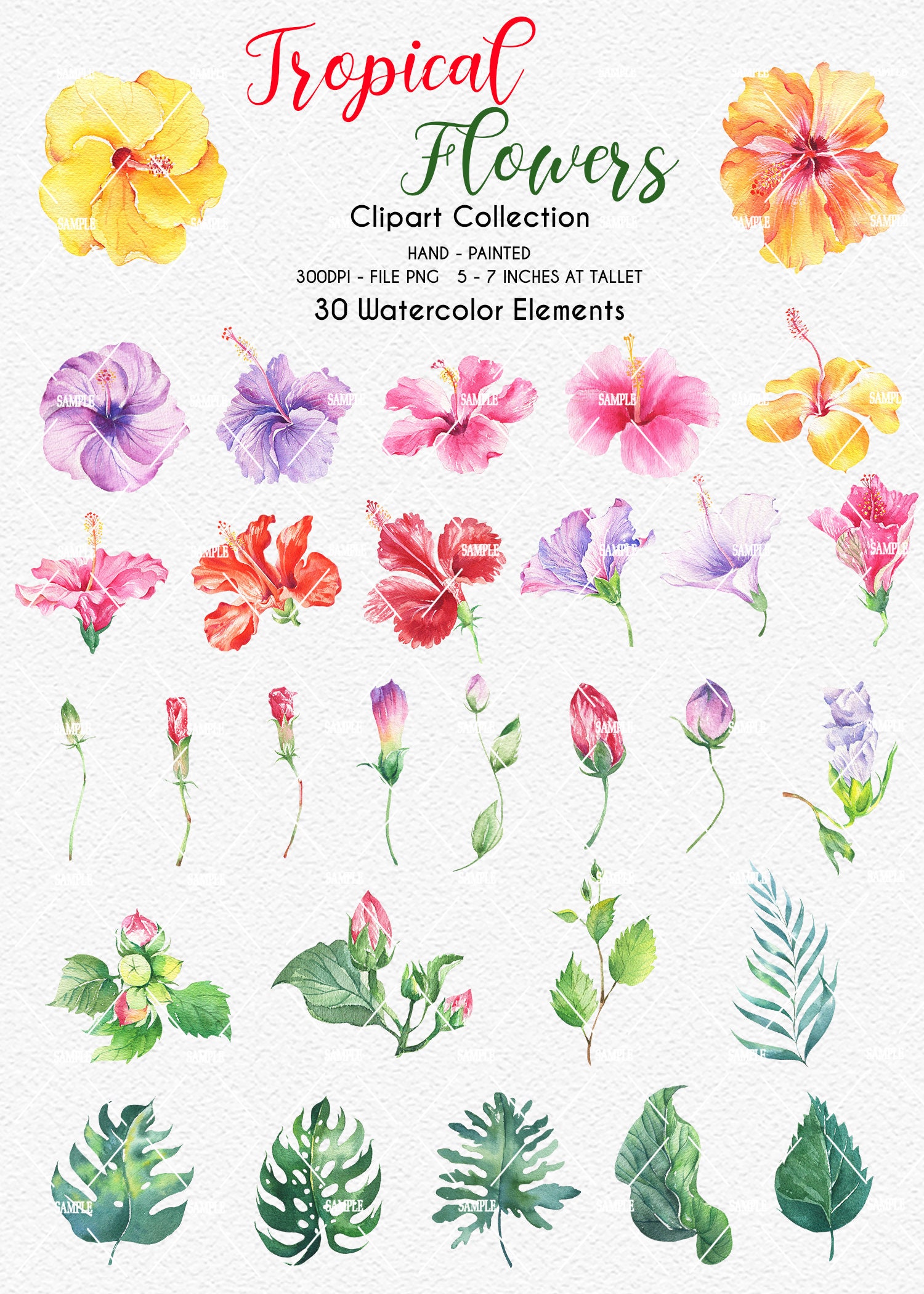 Hibiscus Clipart,tropical Clipart,tropical Watercolor Flowers & Leaves ...
