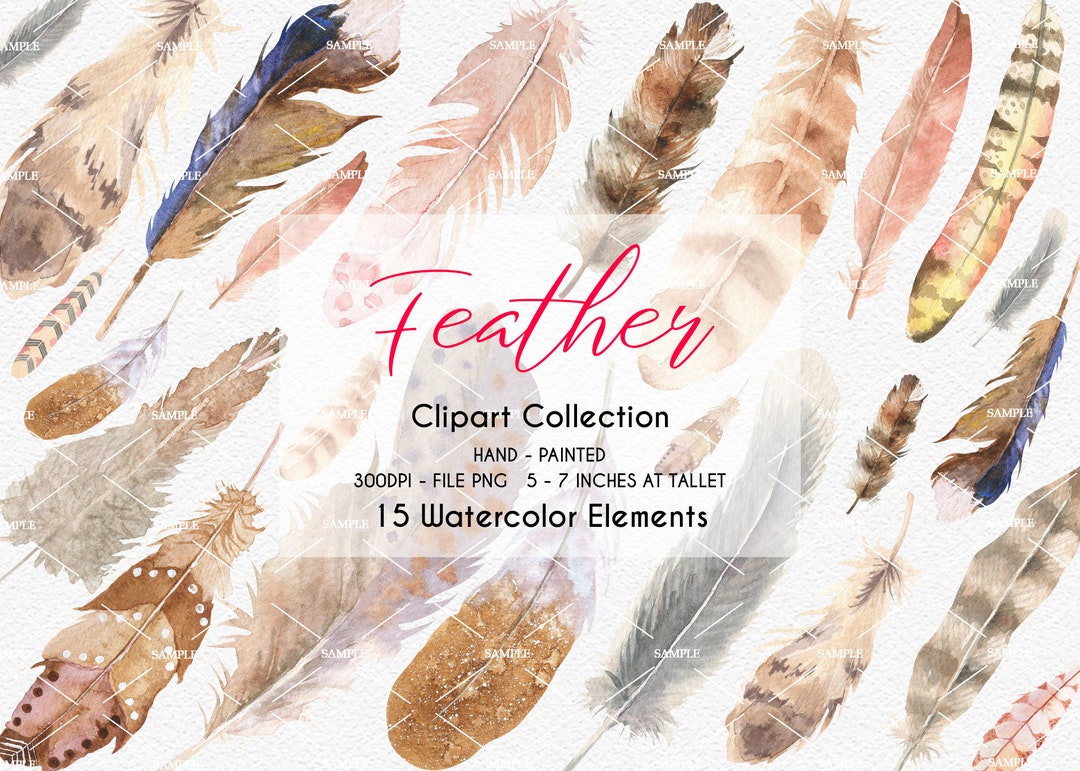 Feather Watercolor Clipart, Feather Set,feather Decor, Digital Feathes ...