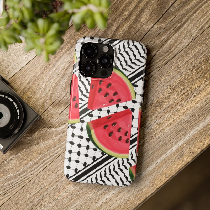 Watermelon Phone Case - Etsy