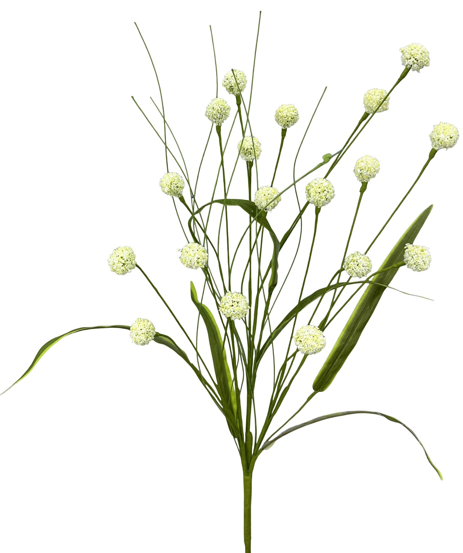 Allium Filler Spray, Wispy Filler for Spring and Summer, Wreath Filler ...