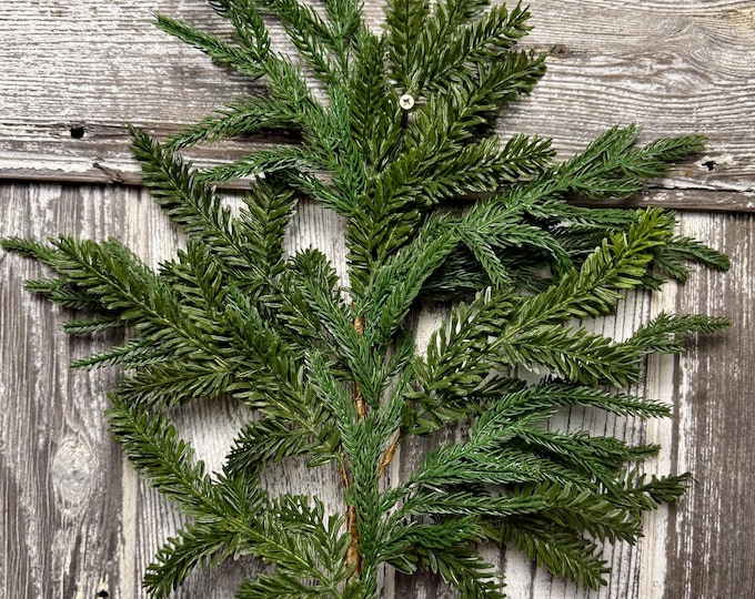 Noble Fir Spray, Wreath Floral, Noble Fir Greenery, Greenery Spray for ...