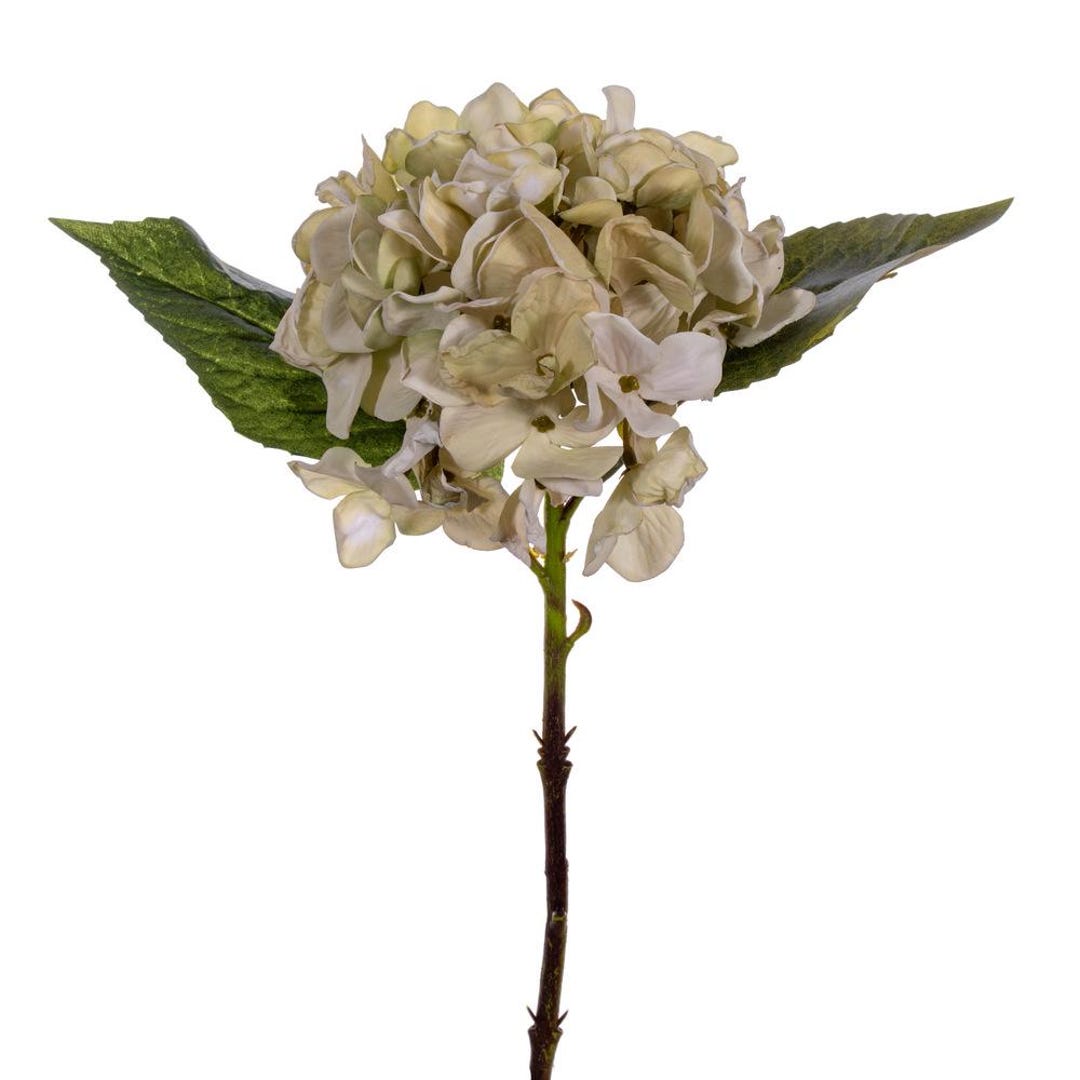 White/green Hydrangea Stem, Floral for Fall, Wreath Floral, Floral ...