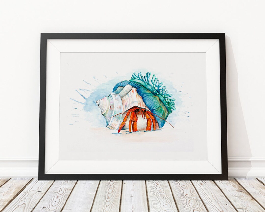 Crab and Anemone Sharing a Shell - Etsy