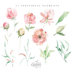 Watercolor Floral Elements Clipart Floral Frame Watercolor - Etsy