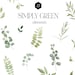 Watercolor Greenery Elements, Greenery Clipart, Botanical Individual ...