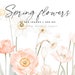Watercolor Spring Flower Borders Clipart, Tulips, Daffodils (digital ...